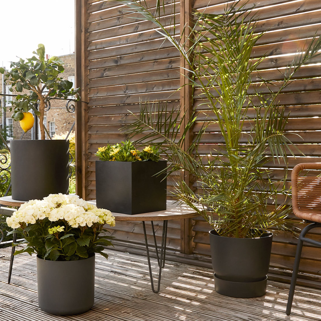 Shining a Light on Sustainability with Earth Lampshades - Foilartdlights